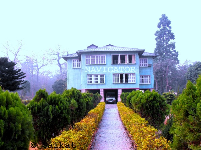 Jaldapara Natinal Park (Dooars) travel guide