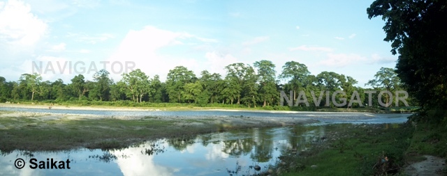 Gorumara National Park travel guide | Jungle Safari - Navigator India