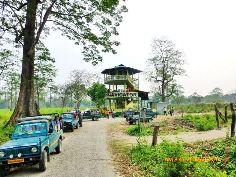 Jaldapara Natinal Park (Dooars) travel guide